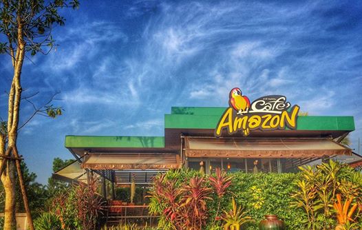 Cafe' Amazon